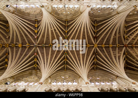Looking up in the nave to the tierceron vaulted / tierceron vault ...