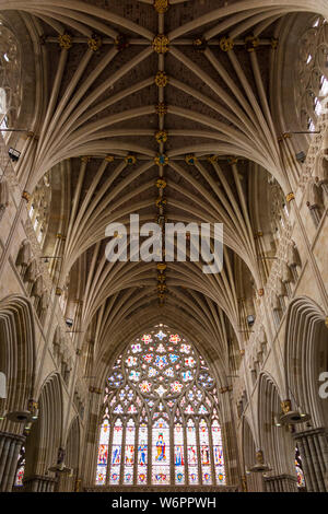 Vaulted ceiling and Great West Window, Exeter Cathedral, Exeter, Devon ...
