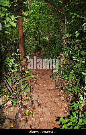 Jomblang cave near Yogyakarta city, Java, Indonesia Stock Photo - Alamy