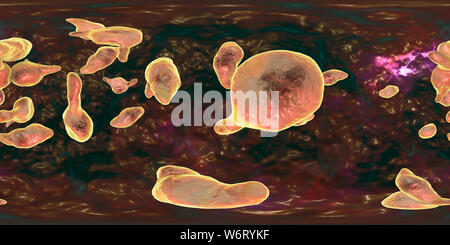 Mycoplasma genitalium bacteria, illustration. M. genitalium is a small ...