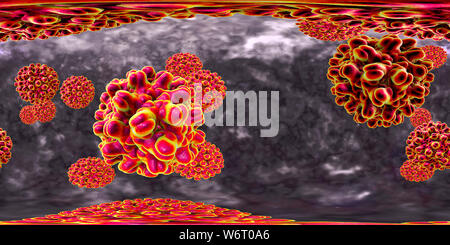 Hepatitis B viruses, a species of the genus Orthohepadnavirus, which is ...