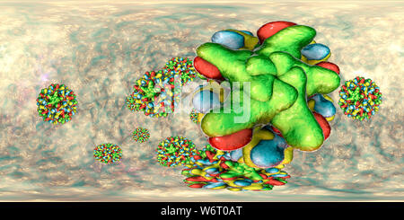 Hepatitis B viruses, a species of the genus Orthohepadnavirus, which is ...