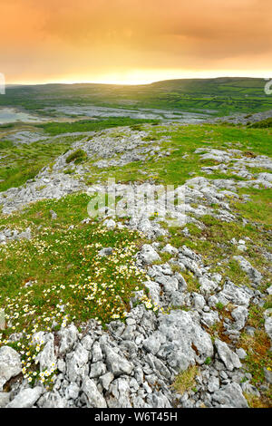 Spectacular landscape of the Burren region of County Clare, Ireland ...