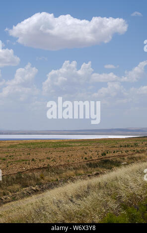 Turkey, Central Anatolia: aerial view of Lake Tuz, Tuz Golu, pink and ...