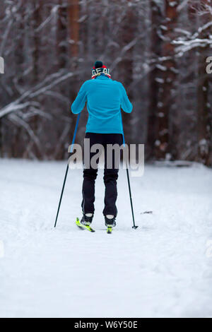Photo from back of male skier in forest in winter Stock Photo - Alamy