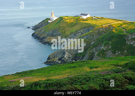 View of green heather fields, the Baily Lighthouse and the Irish Sea ...