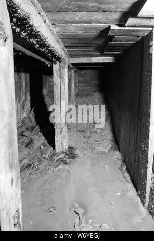Below thr First World War Trenches, while drained of flood water now ...
