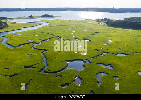 Wildlife scenery view with beautiful birds and flamingos at sunset in ...