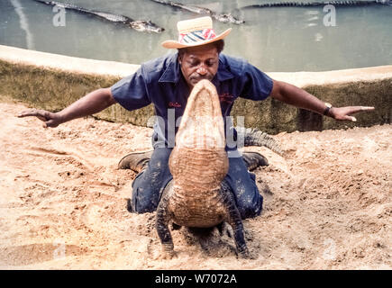 Alligator handlers at the Alligator Farm in St. Augustine, Florida, USA ...