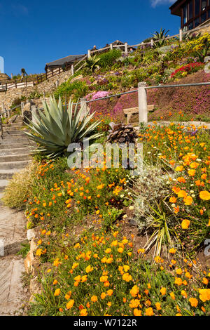 The gardens of the Minack Theatre, Porthcurno, Cornwall, UK. A famous ...