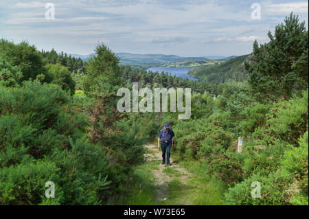 Walkers in Ledmore and Migdale woodland trust reserve, Nr dornoch ...