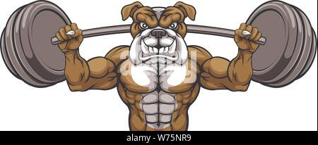 Bulldog Mascot Weight Lifting Body Builder Stock Vector Image & Art - Alamy