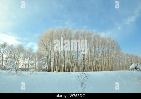Snow scenery of Yakeshi in Hulunbuir, north China's Inner Mongolia ...