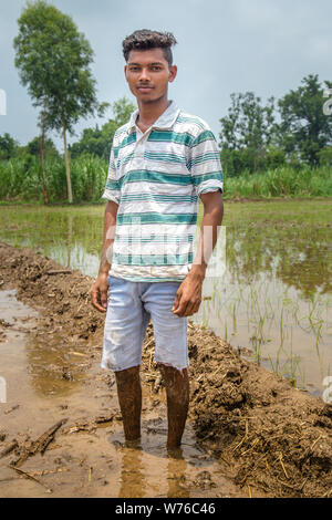 A paddy field is a flooded field of arable land used for growing ...