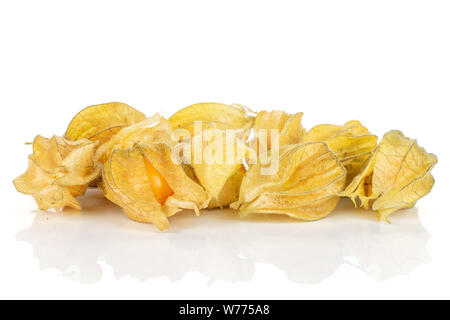 Lot of whole fresh orange physalis with jute fabric in glazed bowl ...
