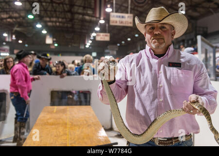 A snake-handler at the World's Largest Rattlesnake Roundup in ...