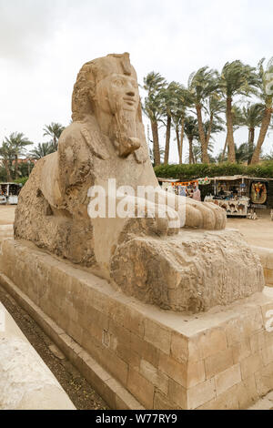 Sphinx in Ancient Capital Memphis, Cairo, Egypt Stock Photo - Alamy