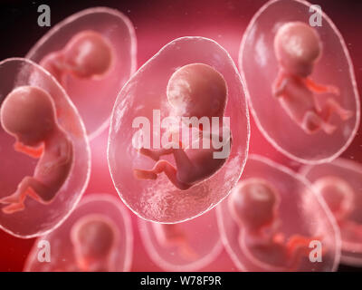 3d rendered illustration of a human embryo month 1 Stock Photo - Alamy