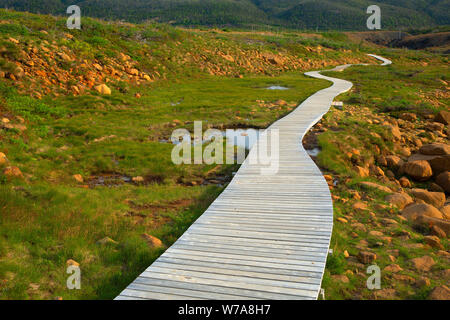 A boardwalk on Tablelands Trail, Gros Morne National Park, Newfoundland ...