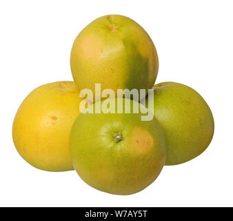 four big pomelo isolated on white background Stock Photo - Alamy