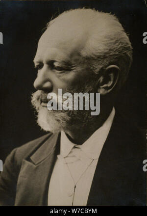 Portrait of the composer Pyotr Ilyich Tchaikovsky (1840-1893), 1894 ...