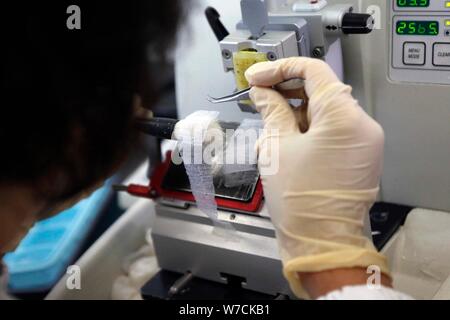 A Chinese researcher does experiments in a lab at the China's largest ...