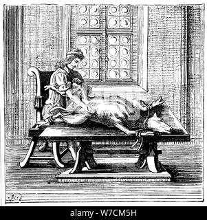 Animal-human blood transfusion. 17th-century artwork of a blood ...