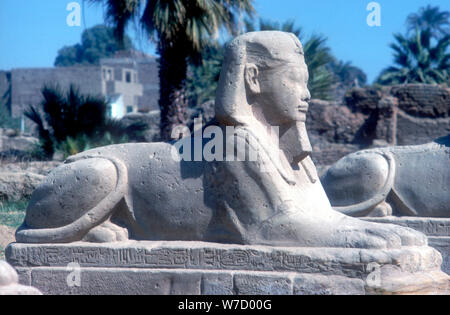 Ancient Egyptian sphinxes, lion sphinx with human head pinnacle and ram ...