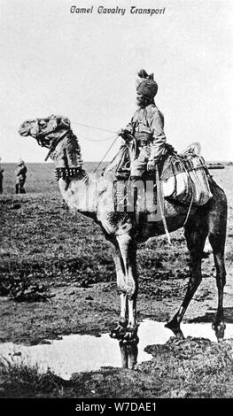 Indian Camel Cavalry Stock Photo - Alamy