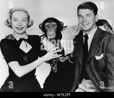 RONALD REAGAN BONZO DIANA LYNN BEDTIME FOR BONZO (1951 Stock Photo - Alamy