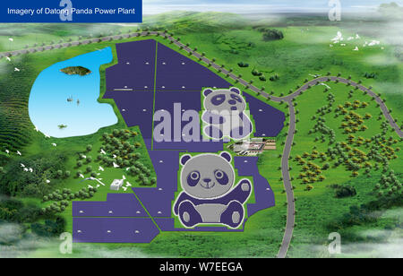 Aerial view of a giant panda-shaped pattern surrounded by rapeseed ...