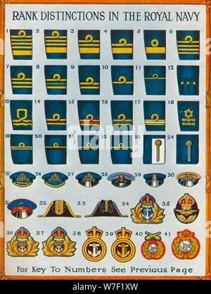 Rank distinctions in the Royal Navy, c1919 (1919). Artist: Unknown ...