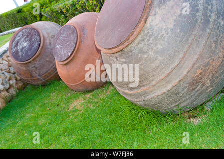 Large olive oil barrels and olive trees. Greek clay barrels for olive ...