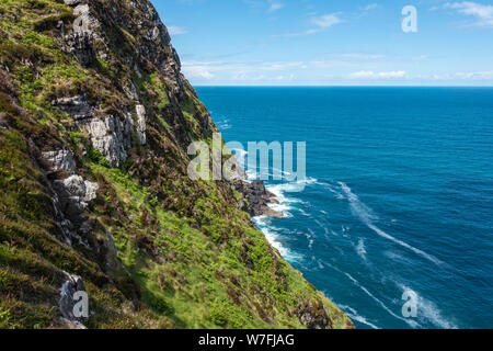 Brandon Point, Dingle Peninsula, County Kerry, Ireland / steep coast ...