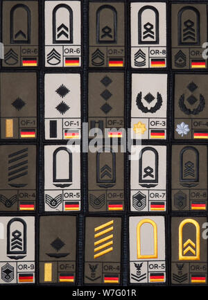 German military army uniform rank badges armed forces services Stock ...