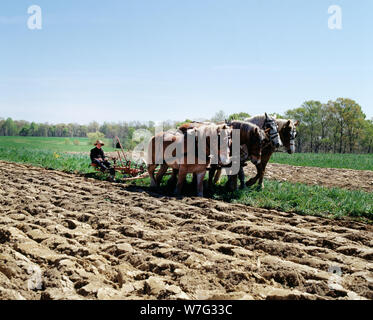 Amish farm scene in Pennsylvania Stock Photo - Alamy