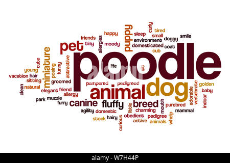 Poodle word cloud Stock Photo - Alamy