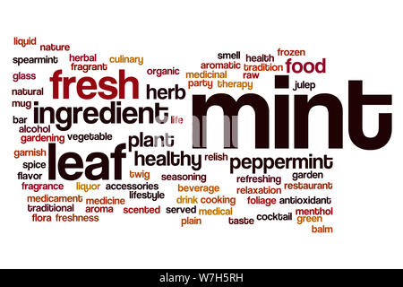 Mint word cloud concept Stock Photo - Alamy