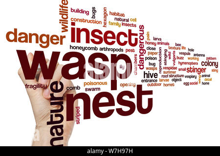 Wasp nest word cloud concept Stock Photo - Alamy