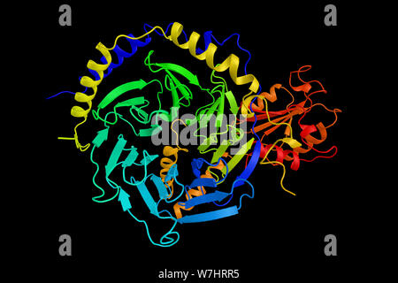 Transducin protein beta-gamma complex Stock Photo - Alamy