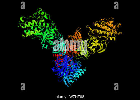 Structure of human tgf-beta receptor type 2 kinase domain. 3D cartoon ...