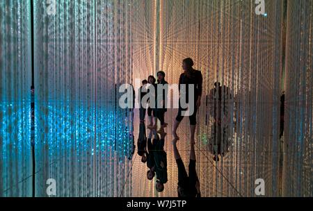 LED Installation, Visitors at the Digital Art Museum, TeamLab Planets ...