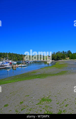 USA, Washington State, Orcas Island, Deer Harbor, Reflection of ...
