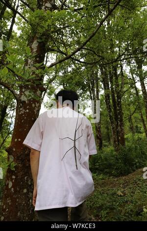 The world's longest insect, a stick insect measuring 640 millimeters ...