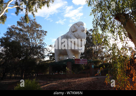 "Baart" The Big Ram of Wagin, Western Australia Stock Photo - Alamy