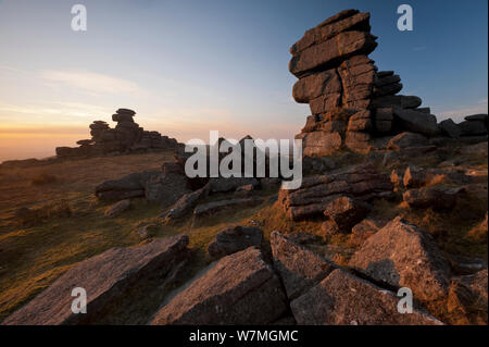 Great Staple Tor in late evening light, Dartmoor National Park, Devon ...