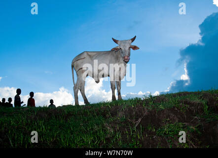 KENYA East Africa Tribal People Kikuyu tribesman wearing head dress and ...