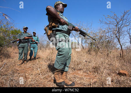 Anti-poaching unit on patrol in the bush, l-r Mshiyeni Ntuli ...