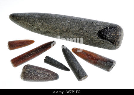 Fossil guards of belemnites / Belemnitida from Lyme Regis, Jurassic ...