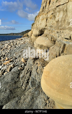 Rounded sandstone nodules on beach near Osmington Mills from Bencliff ...